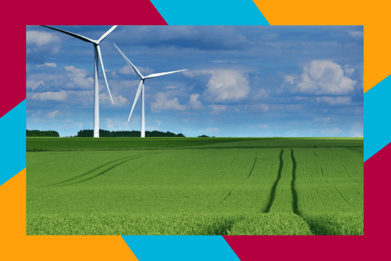 Balancing the Economic and Environmental Impacts of Net Zero: An ...